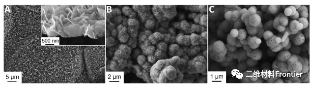 《Science》顶刊推荐！ 二维碳化物和氮化物 MXenes 的直接合成和化学气相沉积 - 哔哩哔哩