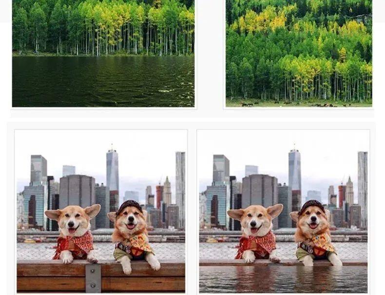 PS水波倒影插件Flaming Pear Flood 2.08完整汉化版 - 哔哩哔哩