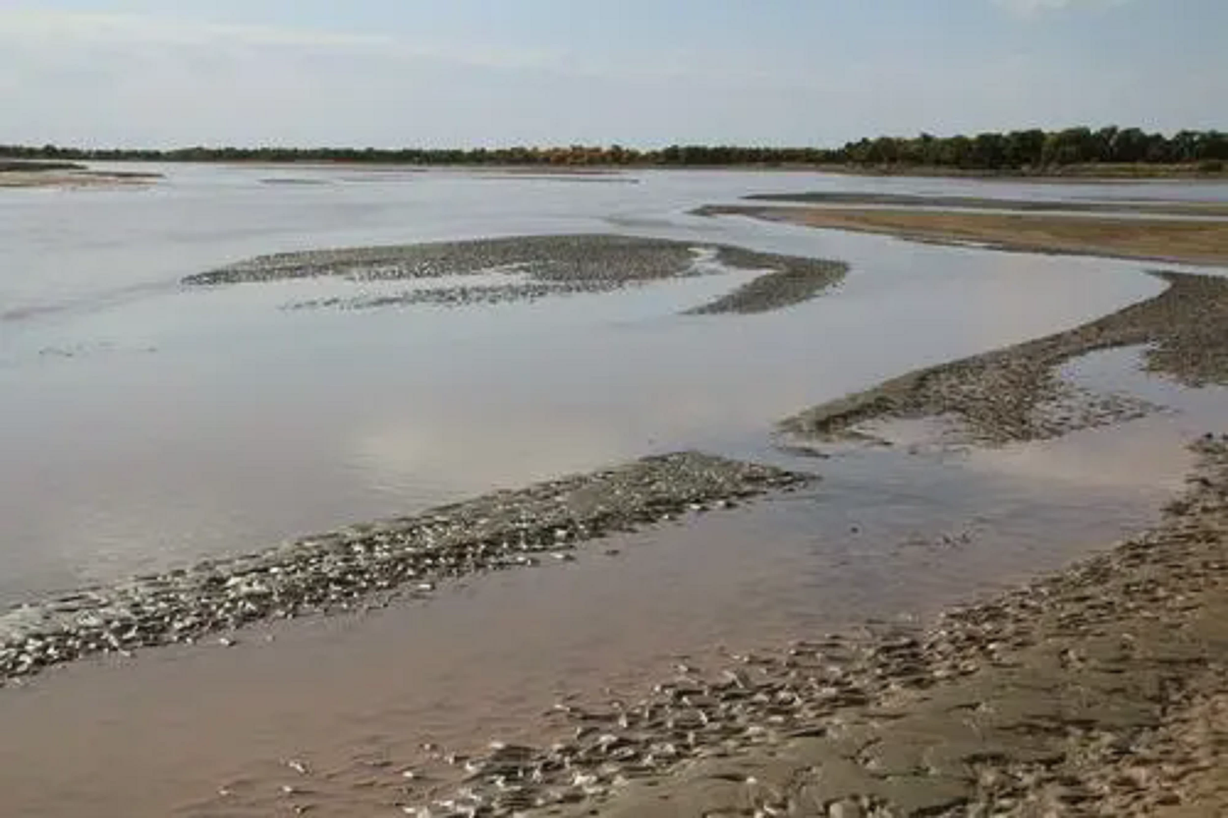 SCP-CN-186 - 弱水 - 哔哩哔哩