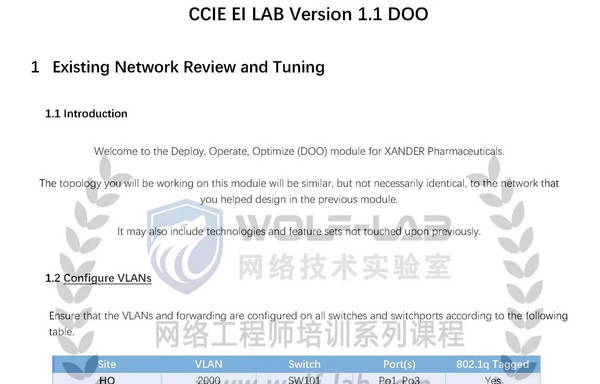 Cisco CCIE EI v1.1 Topology新大纲新版本考试LAB全球首发！ - 哔哩哔哩