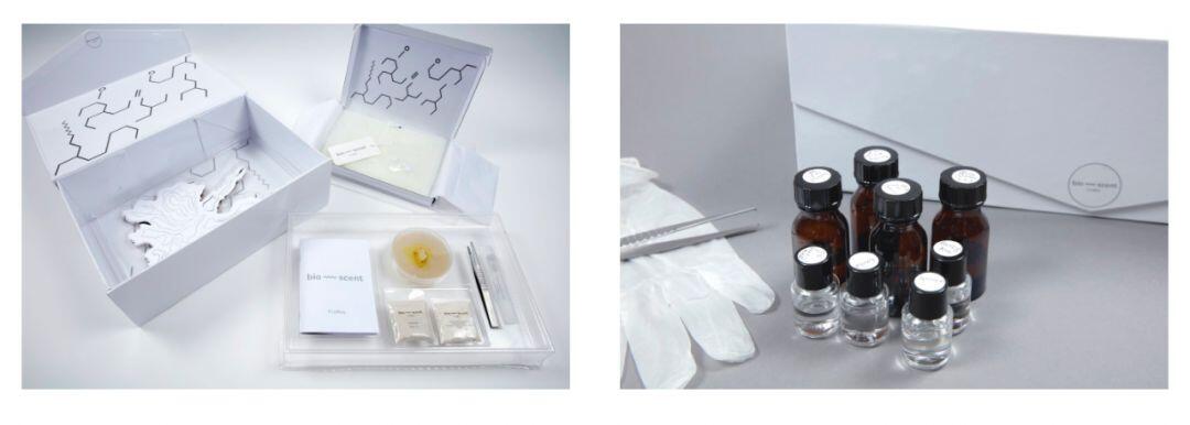 CY TALKS | CSM BIO DESIGN 生物设计—为真实的世界做设计（上） - 哔哩哔哩