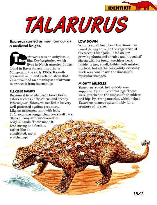 《恐龙!》第71期 篮尾龙、杨氏蜥、鹤龙 - 哔哩哔哩