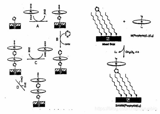 四苯基钴卟啉(FeTPP)/四苯基钴卟啉(CoTPP)/四苯基锰卟啉(MnTPP)修饰玻碳(GC)电极 - 哔哩哔哩