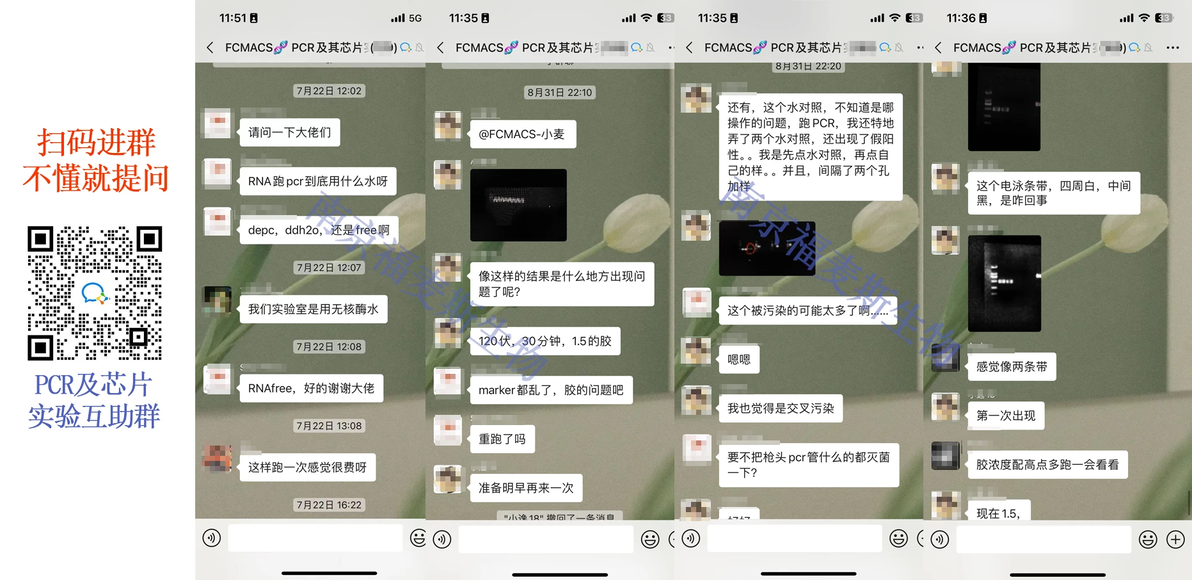 0基础教程 | Oligo 7 设计和分析PCR引物的保姆级教程（带Oligo 7安装包） - 哔哩哔哩