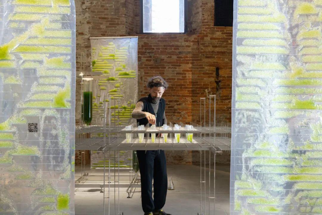 CY TALK | 生物设计科学怪人 ecoLogicStudio 如何运用藻类融入我们的生活 - 哔哩哔哩