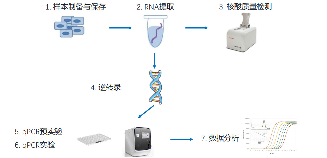 qPCR反应之你问我答 - 哔哩哔哩