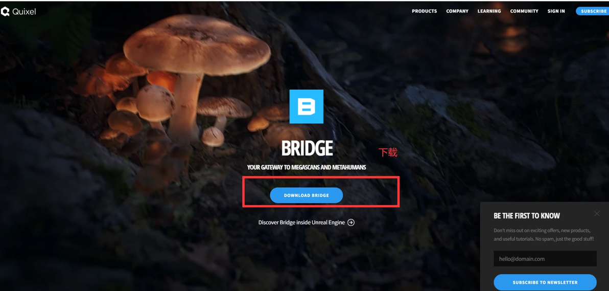 从Quixel Megascans通过bridge到unity的安装教程（保姆操作） - 哔哩哔哩