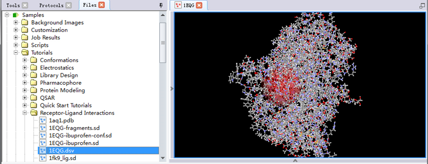 Discovery Studio官方教程-使用CDOCKER进行半柔性分子对接 - 哔哩哔哩