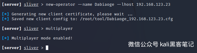 Sliver C2 全网最细教程 - 哔哩哔哩