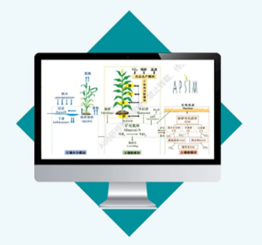APSIM模型参数优化 批量模拟丨物候发育和光合生产、物质分配与产量模拟、土壤水分平衡 - 哔哩哔哩