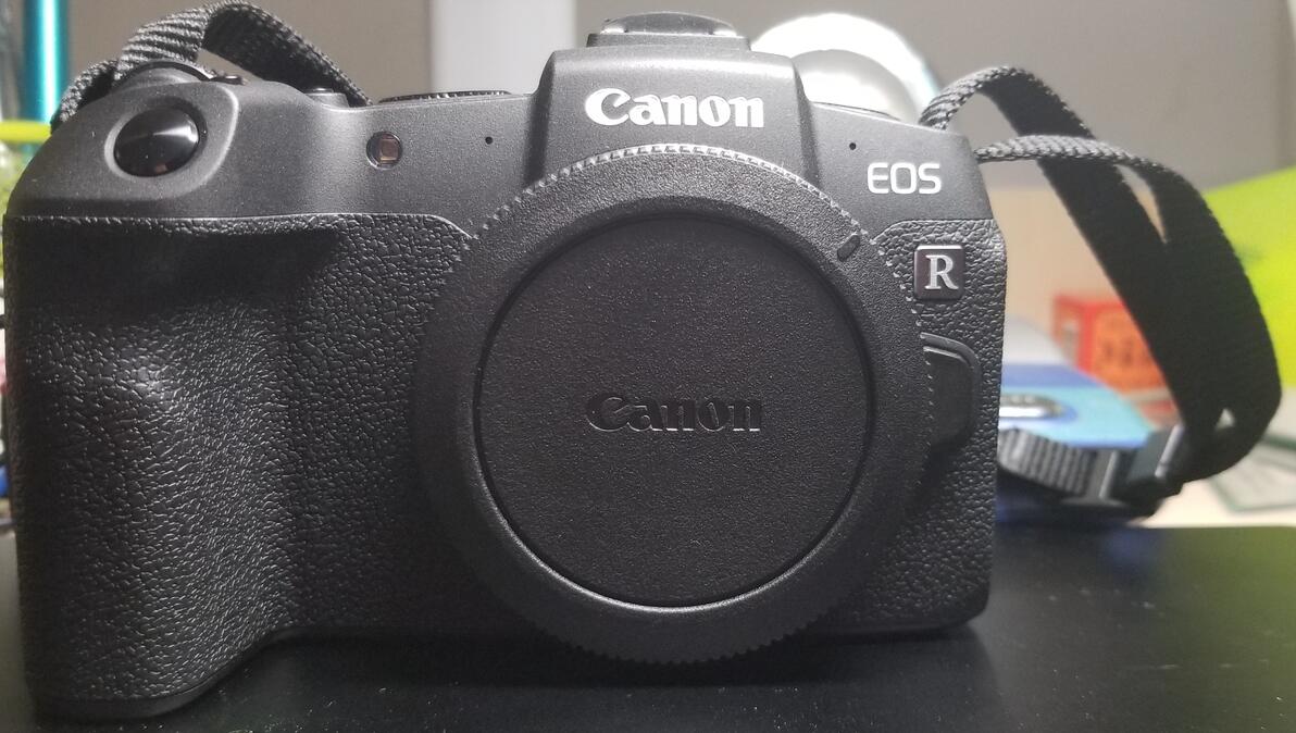 EOS 80D与EOS 6D2的用户们，你们真的需要一台EOS RP！吗？ - 哔哩哔哩