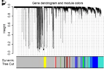WGCNA分析是什么？各种术语都是啥意思？怎么做这个分析？点进来看！/SCI论文/科研/研 - 哔哩哔哩