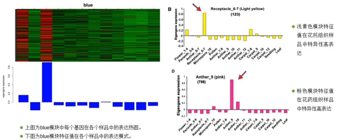 WGCNA学习：WGCNA分析原理 - 哔哩哔哩