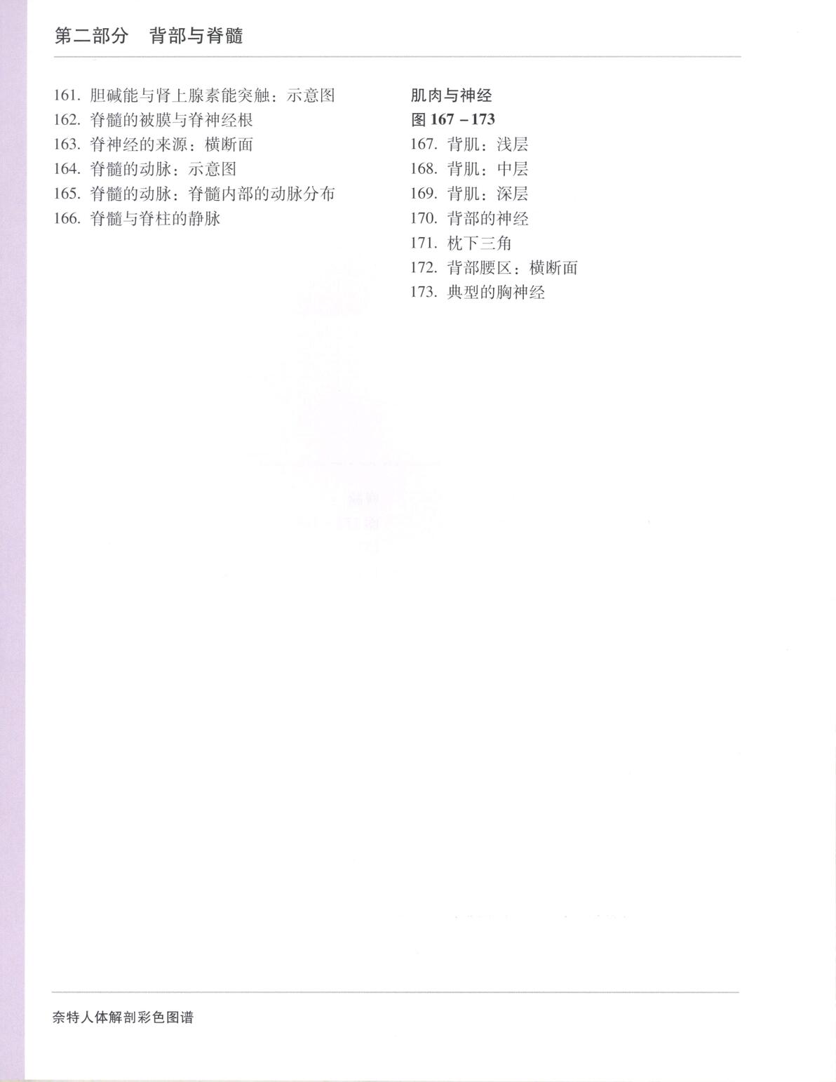 《奈特人体解剖彩色图谱 第3版》Frank H. Netter原著；王怀经主译&R - 哔哩哔哩