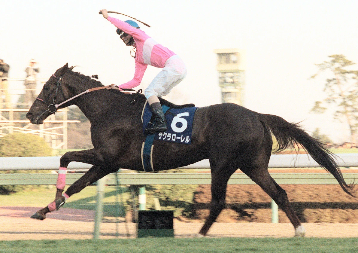 【全图鉴】日本JRA年度代表马（1954-2022） - 哔哩哔哩