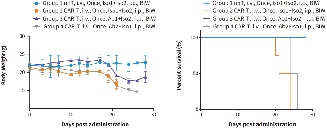 关于CDX模型，这些知识点你必须了解！ - 哔哩哔哩