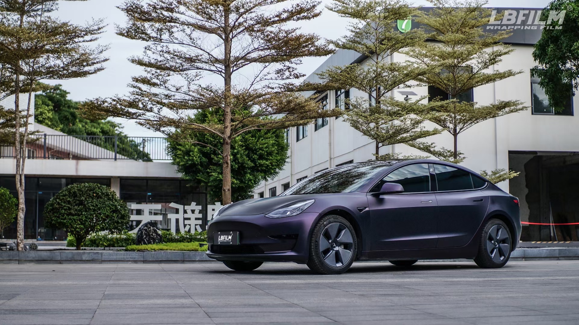 特斯拉model3-LB改色膜消光黑比诺紫，一颗的浓醇葡萄 - 哔哩哔哩