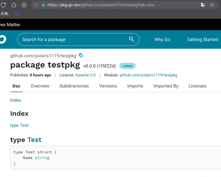 万字长文解读 pkg.go.dev 的设计和实现 - 哔哩哔哩