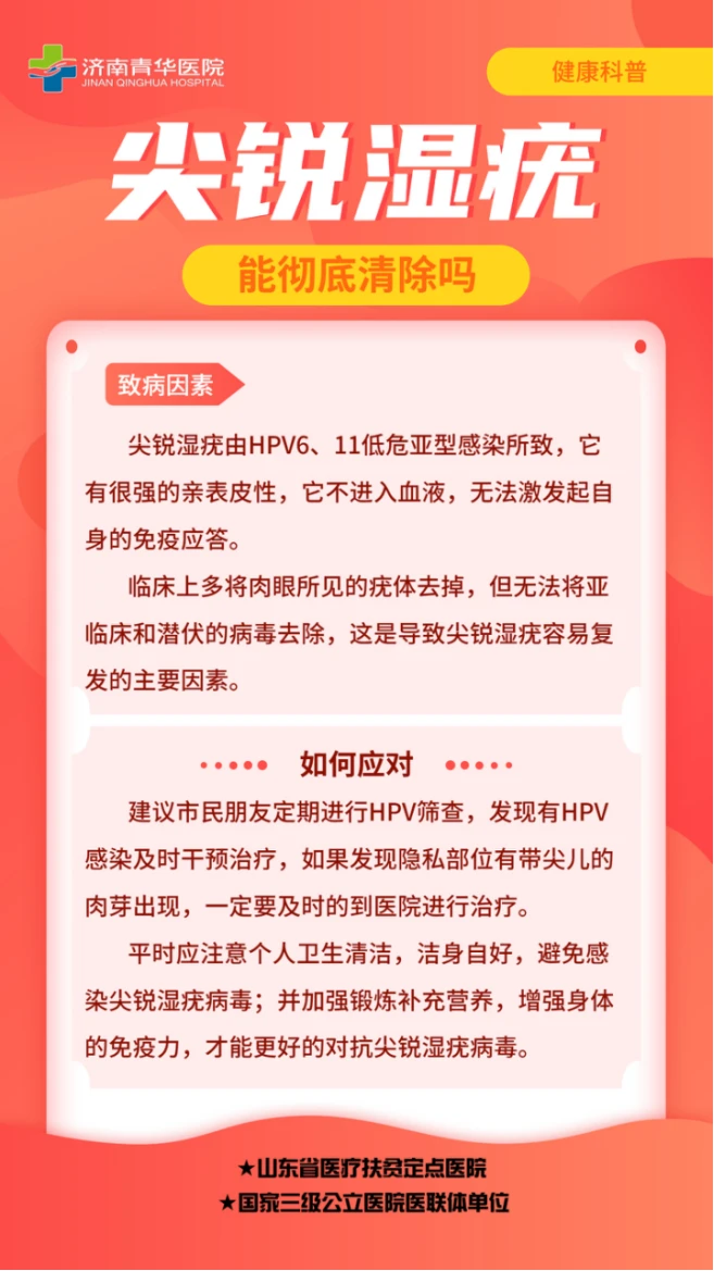 尖锐湿疣能彻底清除吗？该如何应对？ 哔哩哔哩 