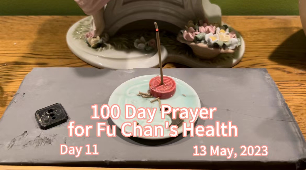 100 Day Prayer for Fu Chan's Health- Day 11 - 哔哩哔哩