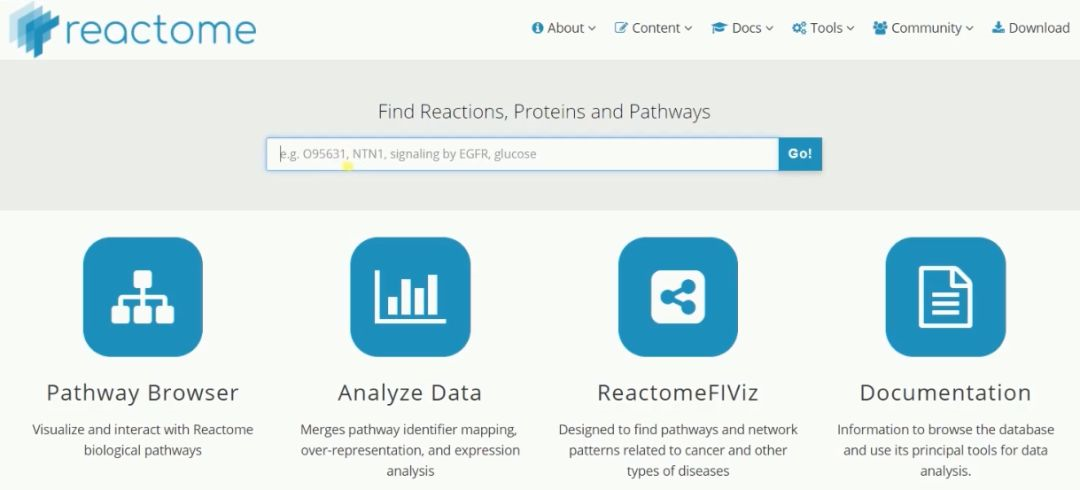 你一直没学会的科研技能——GO分析和Pathway分析 - 哔哩哔哩