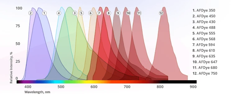 水溶性荧光染料 Alexa Fluor555 SE，AF555 NHS Ester，AF555 活性酯 的标记原理 - 哔哩哔哩