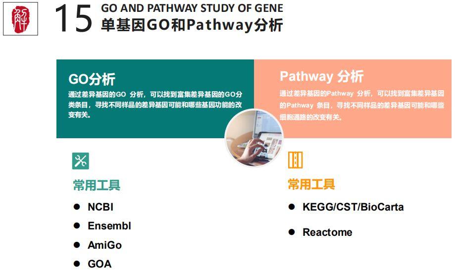 你一直没学会的科研技能——GO分析和Pathway分析 - 哔哩哔哩