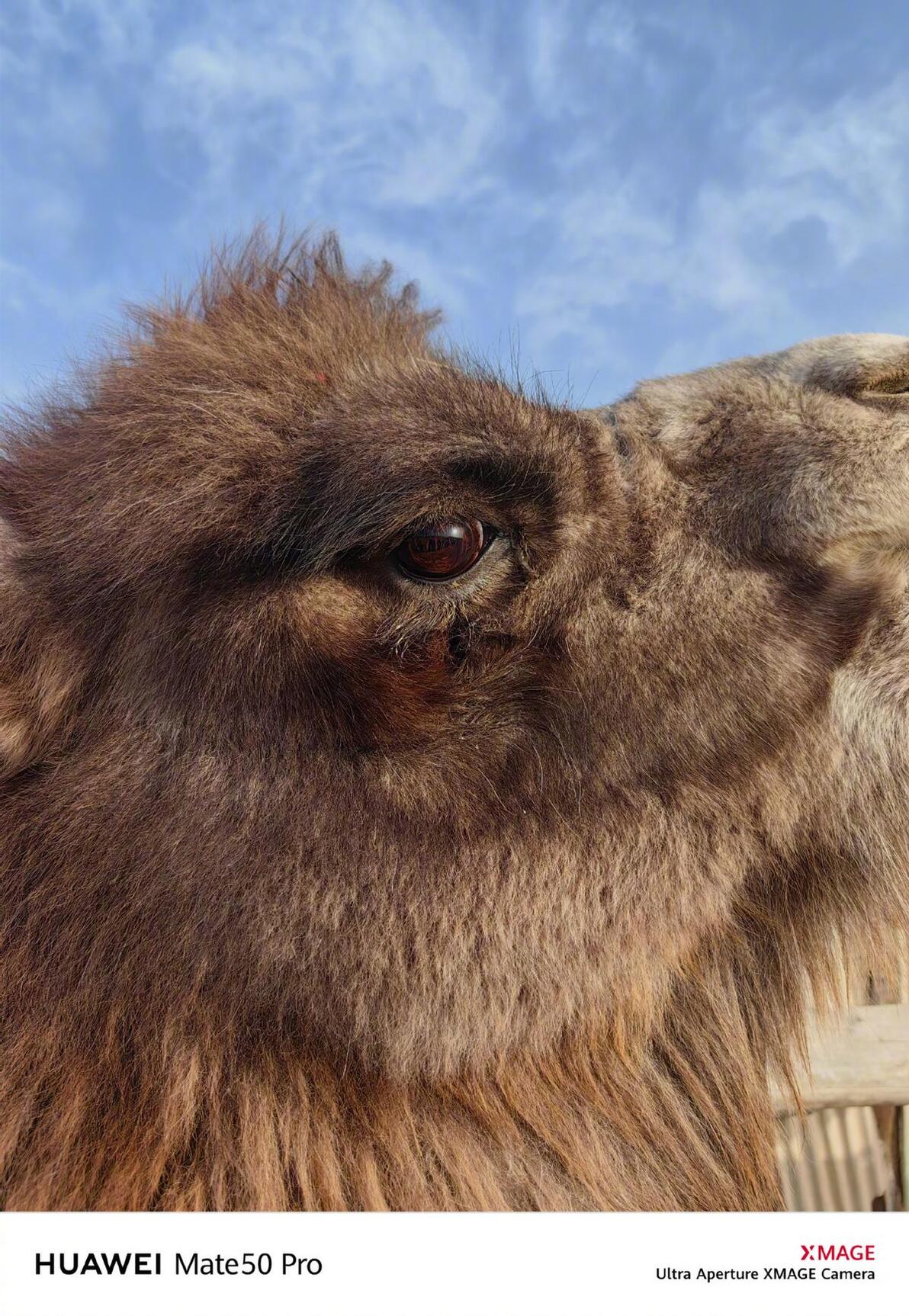 618换机没头绪？华为Mate50系列最高优惠800元，实力超群闭眼入 - 哔哩哔哩