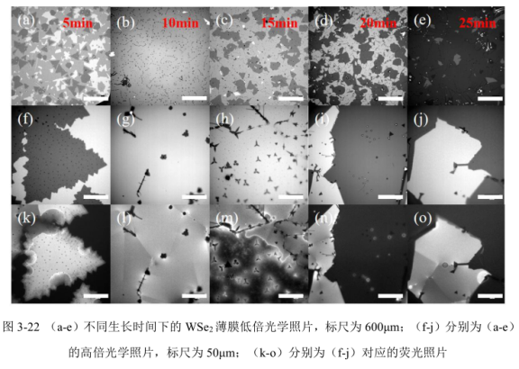 Si/SiO2衬底CVD-WSe2单层薄膜;蓝宝石衬底二硒化钨薄膜齐岳生物 - 哔哩哔哩