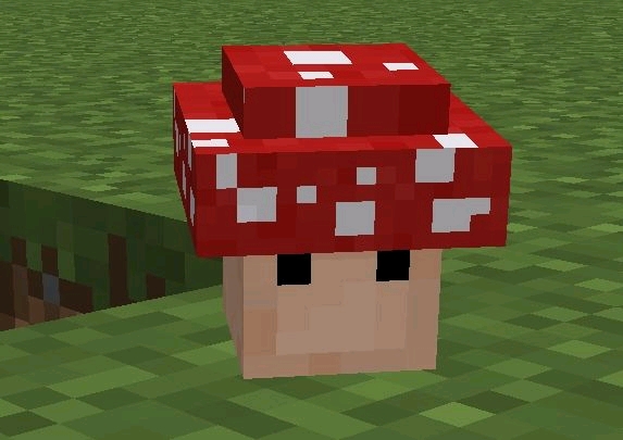 极东刊：第五期 - 哔哩哔哩