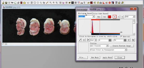 image Pro plus全技能汇总！（40个视频教程免费学习） - 哔哩哔哩
