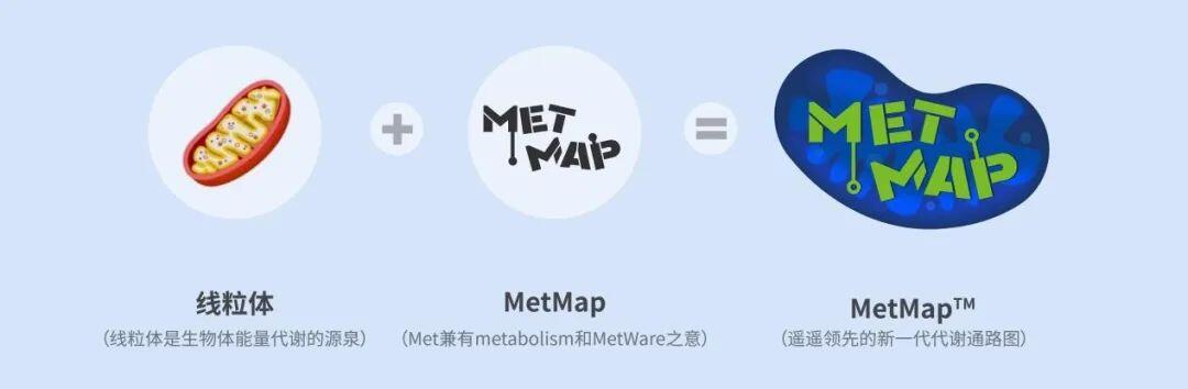 遥遥领先的新一代通路图MetMap™重磅发布，5位教授点评！ - 哔哩哔哩