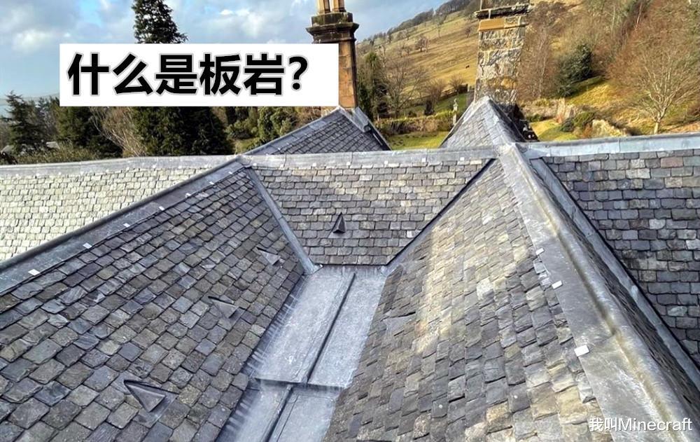 Minecraft 21w08a 新快照介绍！ - 哔哩哔哩