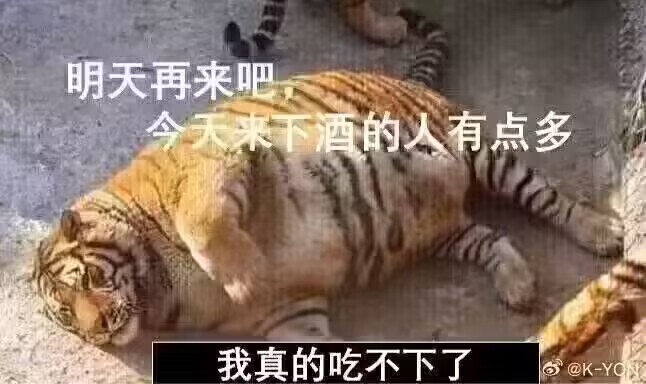 虎哥今日状态 哔哩哔哩