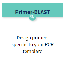 NCBI的其他blast工具介绍（Smartblast,Primerblast,Global Align） - 哔哩哔哩