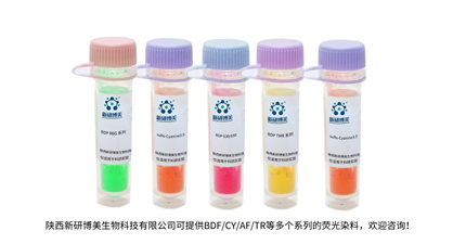 Sulfo Cy3 HAIYPRH ，磺化Cyanine3转铁蛋白靶向肽，通过噬莹体展示技术筛选的短肽 - 哔哩哔哩