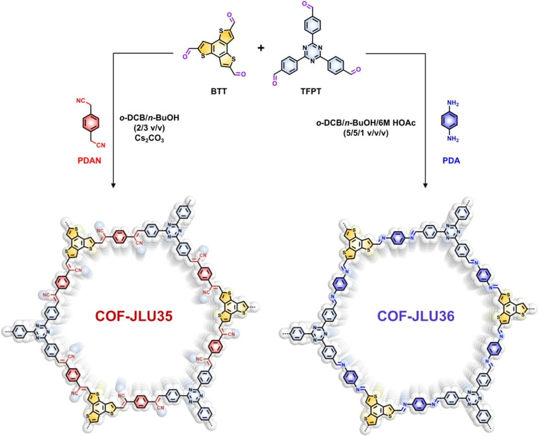 COF热点文章(20230312-20230318) - 哔哩哔哩