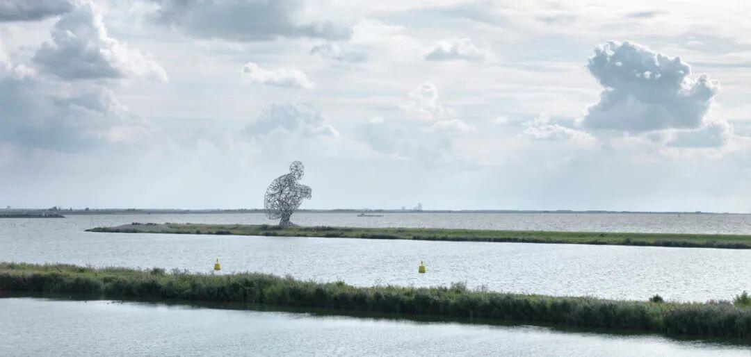 “世界上存在没有巨物恐惧的人吗？” - 哔哩哔哩