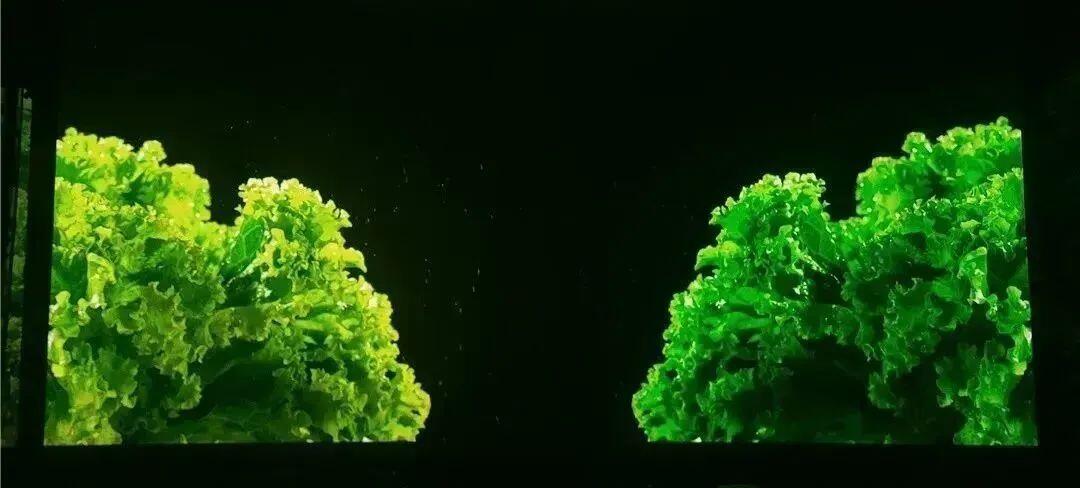 一个视频发烧友的索尼VPL-XW5000激光投影机测评 - 哔哩哔哩