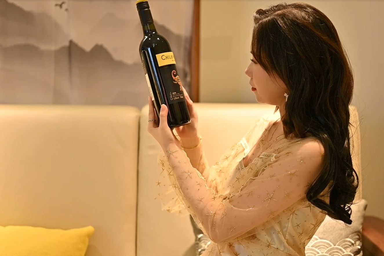 潮酷之选!红酒就是传统与现代的激撞 哔哩哔哩