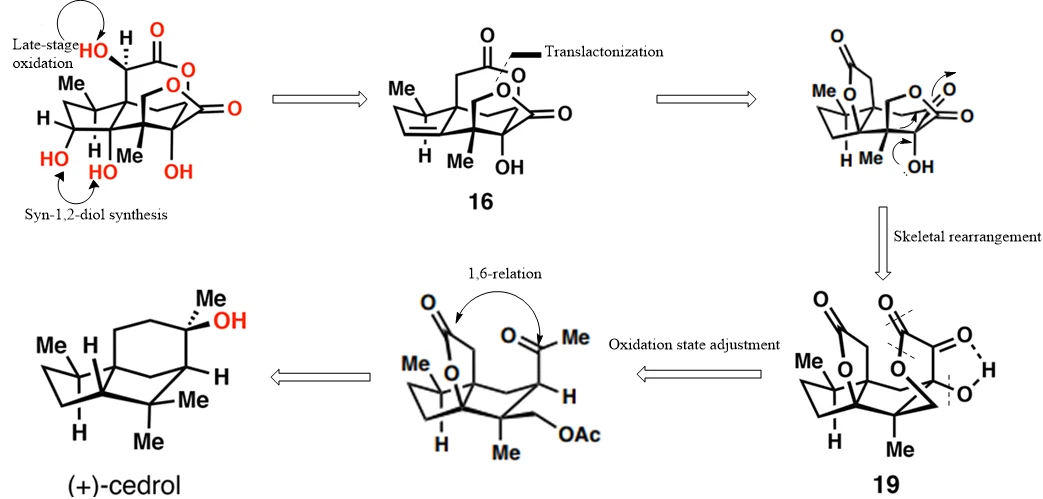 高度氧化的Majucin类天然产物的全合成 Thomas J. Maimone - 哔哩哔哩