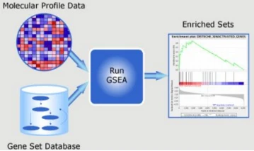 【生信小知识】GSEA和ssGSEA、单基因GSEA都是什么？GSEA结果图怎么看？ - 哔哩哔哩