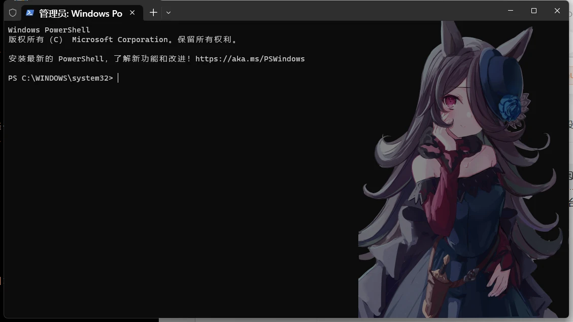 命令行美化 随机背景 哔哩哔哩