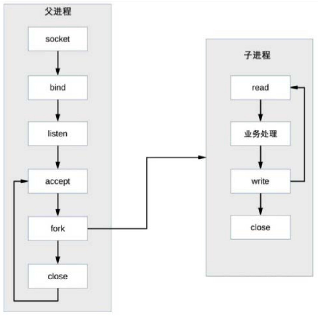 32【架构师】单服务器高性能模式：ppc与tpc（上） 哔哩哔哩