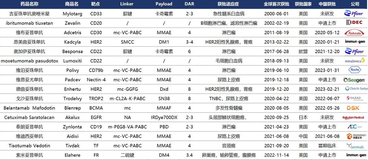 adc抗体偶联药物深度梳理——作用机制、上市药物、研发管线..... - 哔哩哔哩