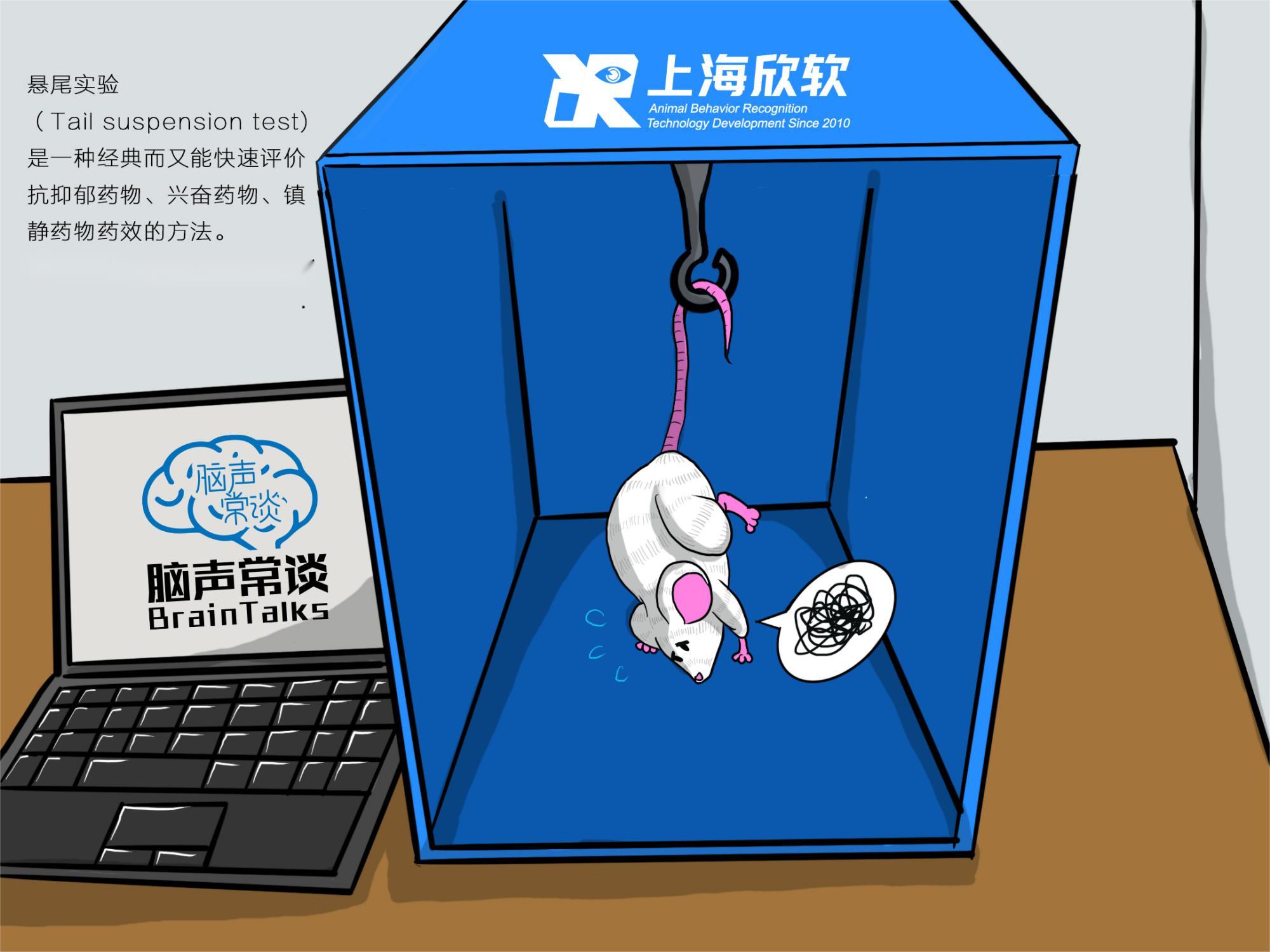 脑声常谈：悬尾实验应该怎么做？悬尾实验应该注意些什么？ 哔哩哔哩