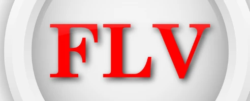 flv是什么格式的？带你详细了解flv格式 - 哔哩哔哩