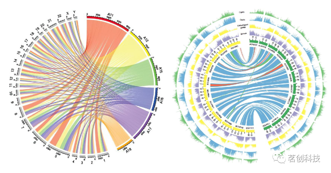 【茗创科技】最酷的脑功能连接图--Circos安装教程 - 哔哩哔哩