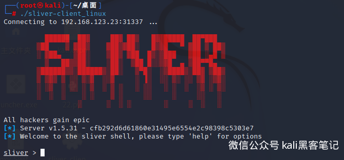 Sliver C2 全网最细教程 - 哔哩哔哩