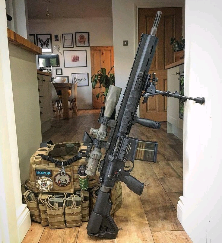 [轻武器科普] 图解德国HK417步枪 - 哔哩哔哩